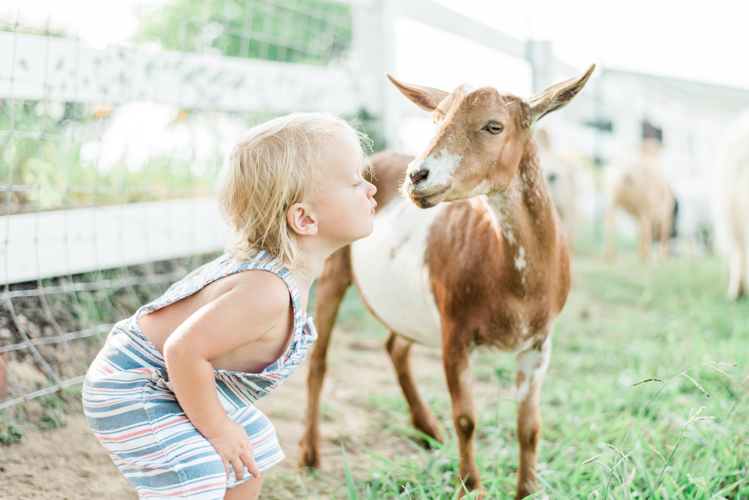 Marney Family - Loudon, TN - Knoxville Family Photographer